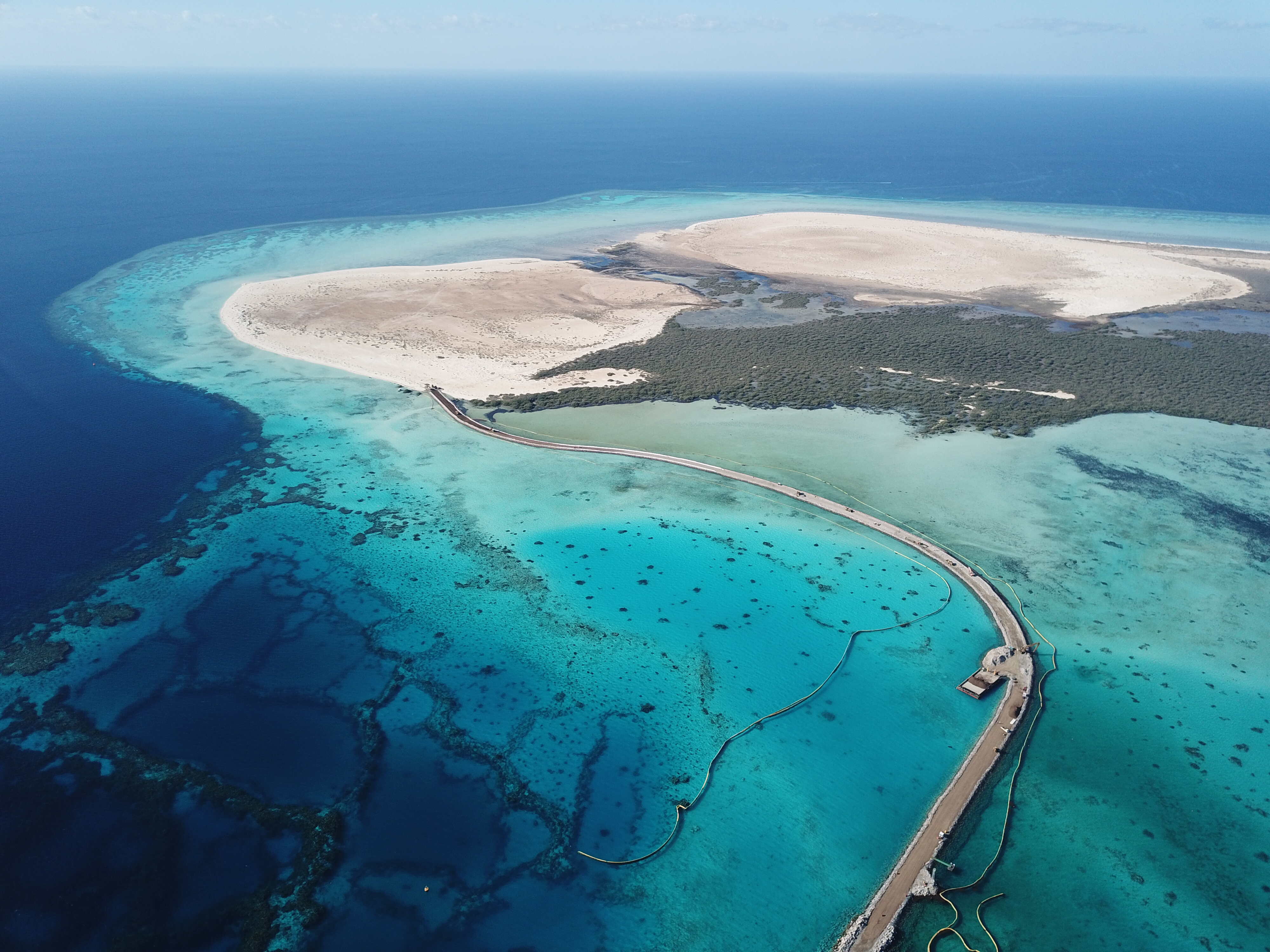 Archirodon's Environmental Commitment Shines in Red Sea Program